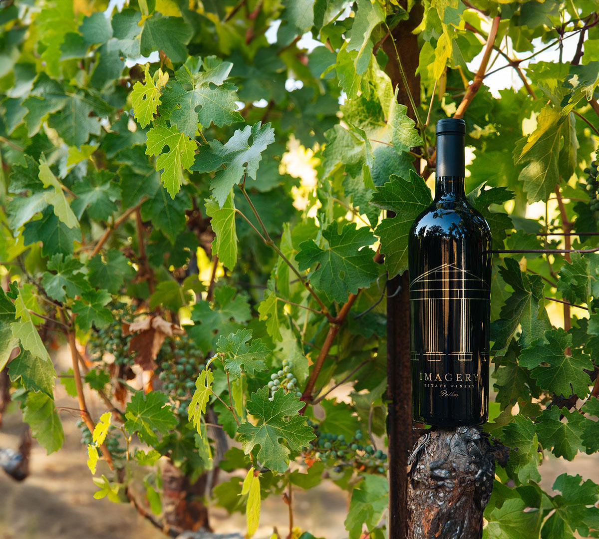 Home - Imagery Estate Winery